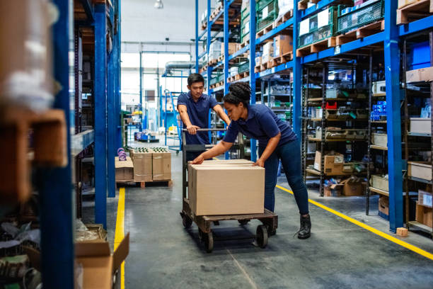 The Best Lifting Aids for Home and Work: Top Tools for Safety – Lifteze