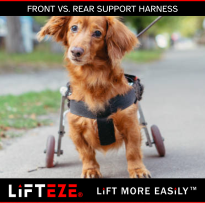 COMPARING FRONT VS. REAR SUPPORT HARNESSES FOR PETS WITH MOBILITY ISSU ...